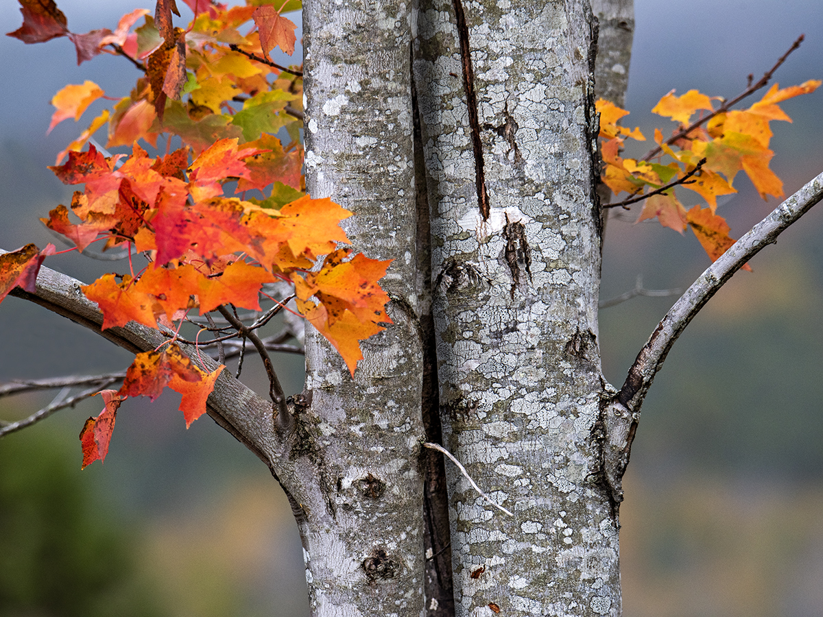 - Picture Framing Unlimited, LLC.